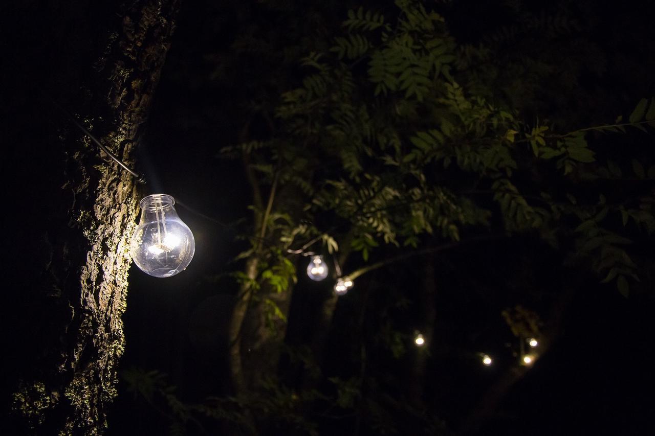 Ampoule LED : Quels sont les différents types d'éclairages LED