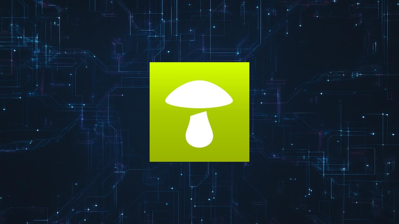 Définition | Déclic Champi : qu'est-ce que c'est ? | Futura tech