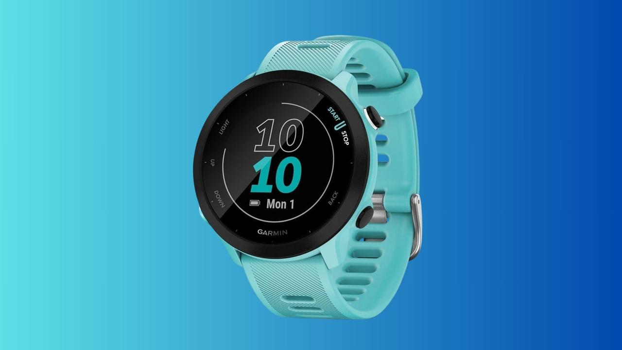 Montre connectée Garmin Forerunner 55 : n°1 des ventes Amazon, son prix ...