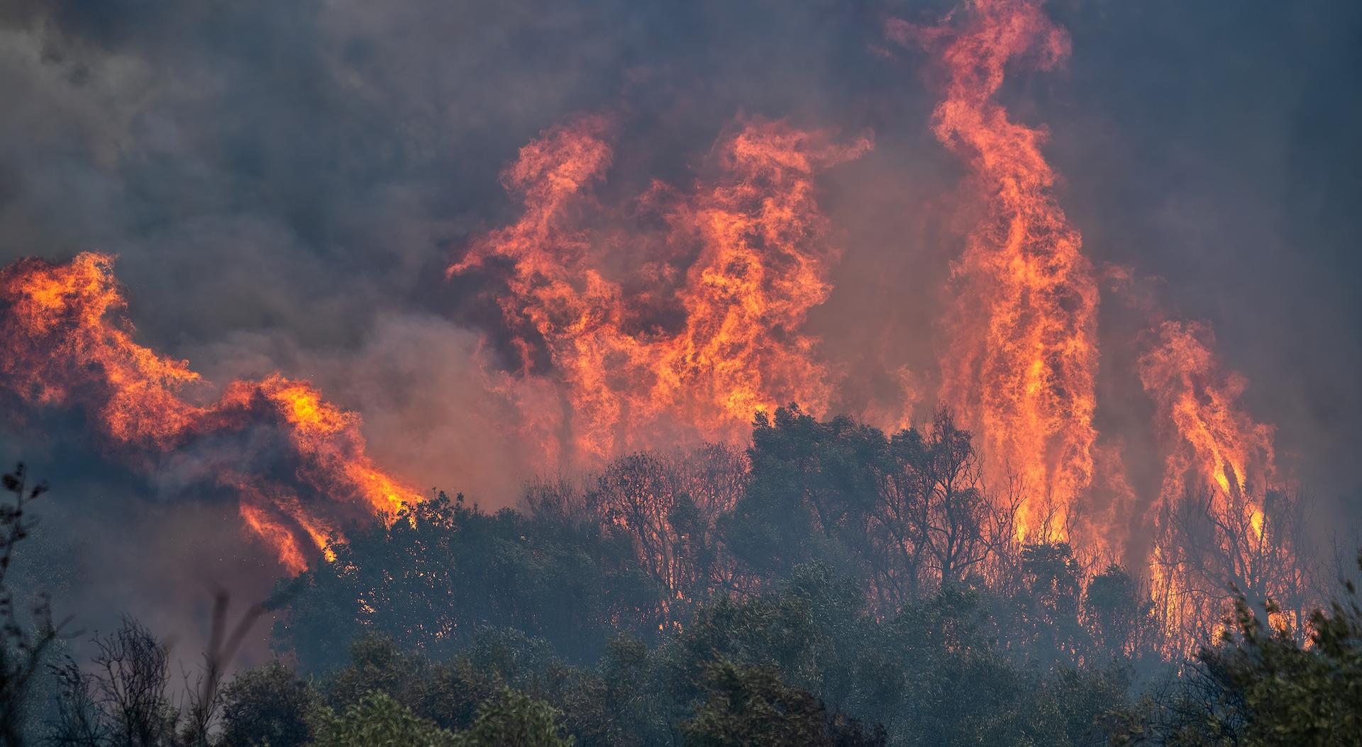 La ville mythique de Marathon encerclée par des incendies géants : ses ...