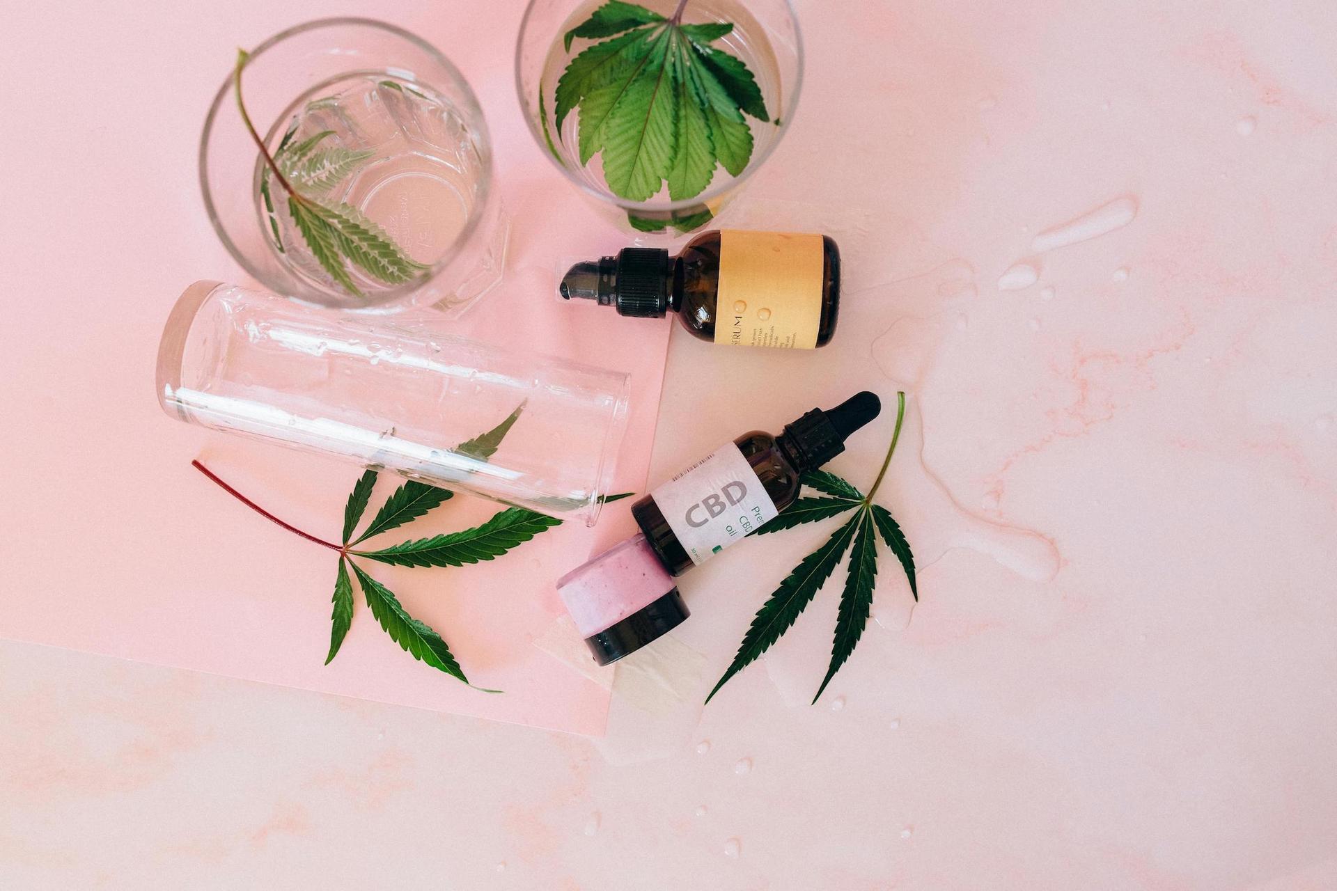 CBD : quelle est la réglementation concernant les dérivés du cannabis
