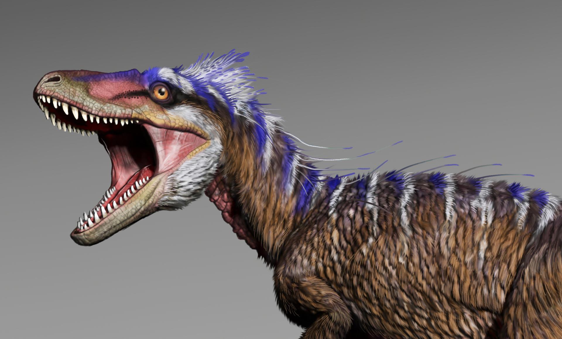 Moros intrepidus, une version miniature du Tyrannosaurus rex