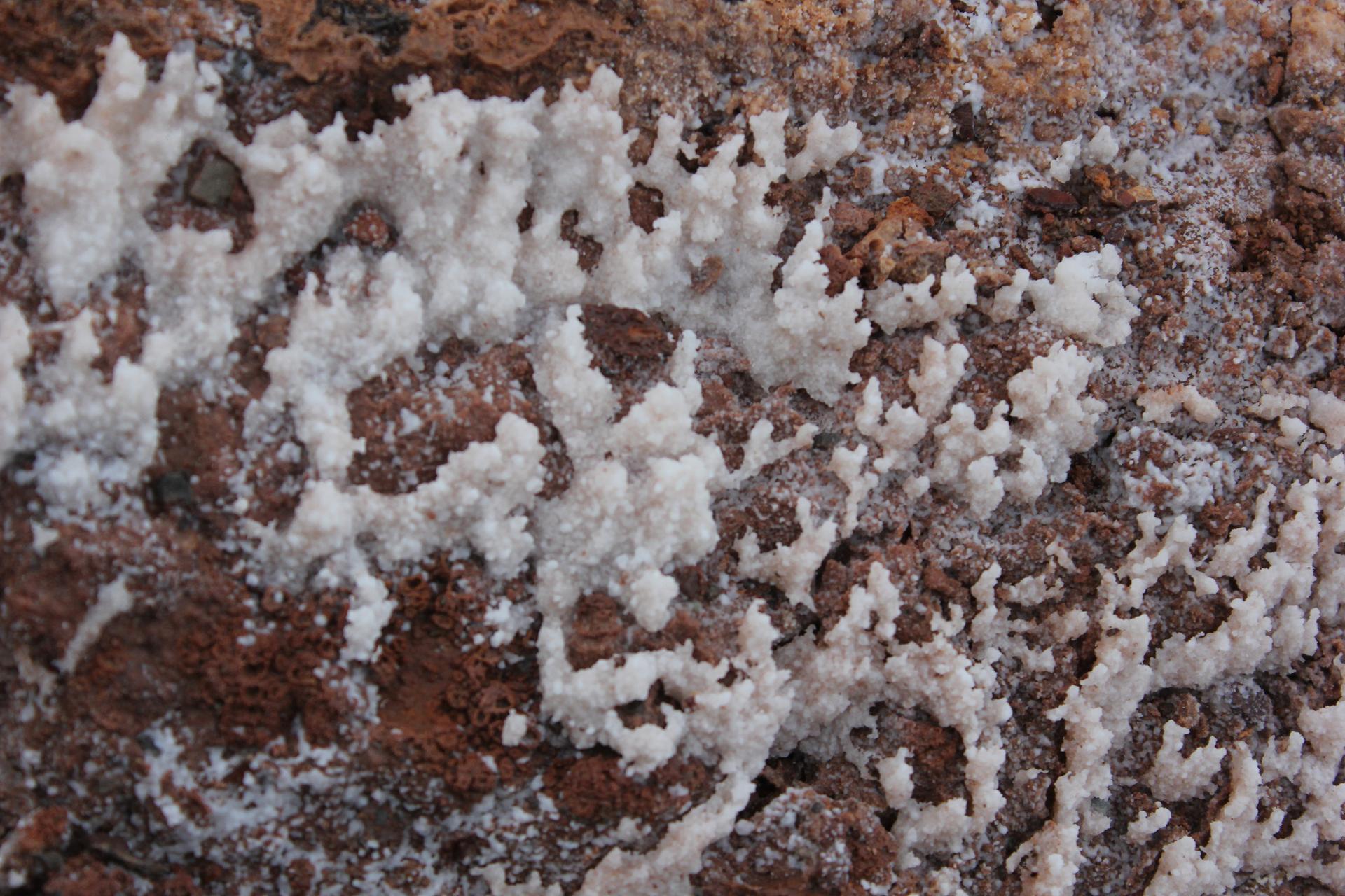 Définition | Corps pur : qu'est-ce que c'est ? | Futura sciences