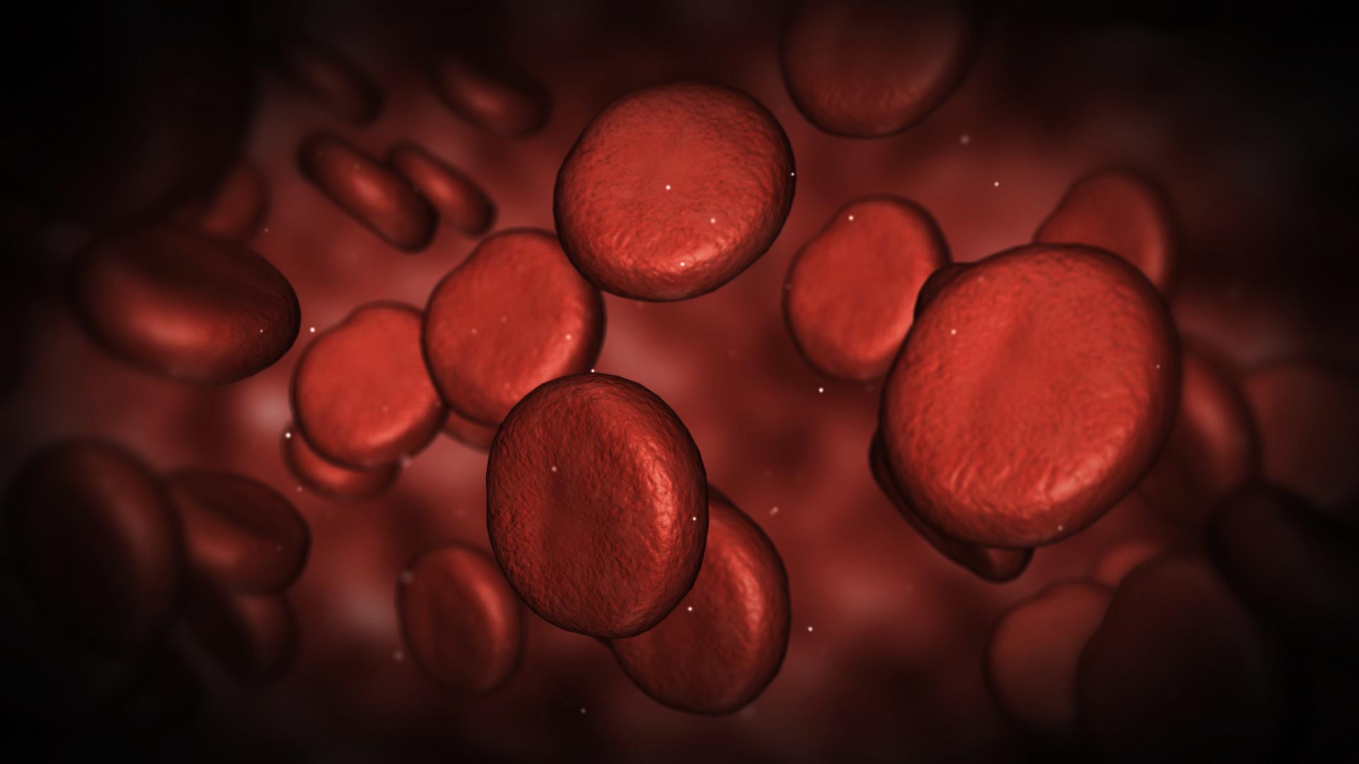 Définition | Réticulocyte : qu'est-ce que c'est ? | Futura santé