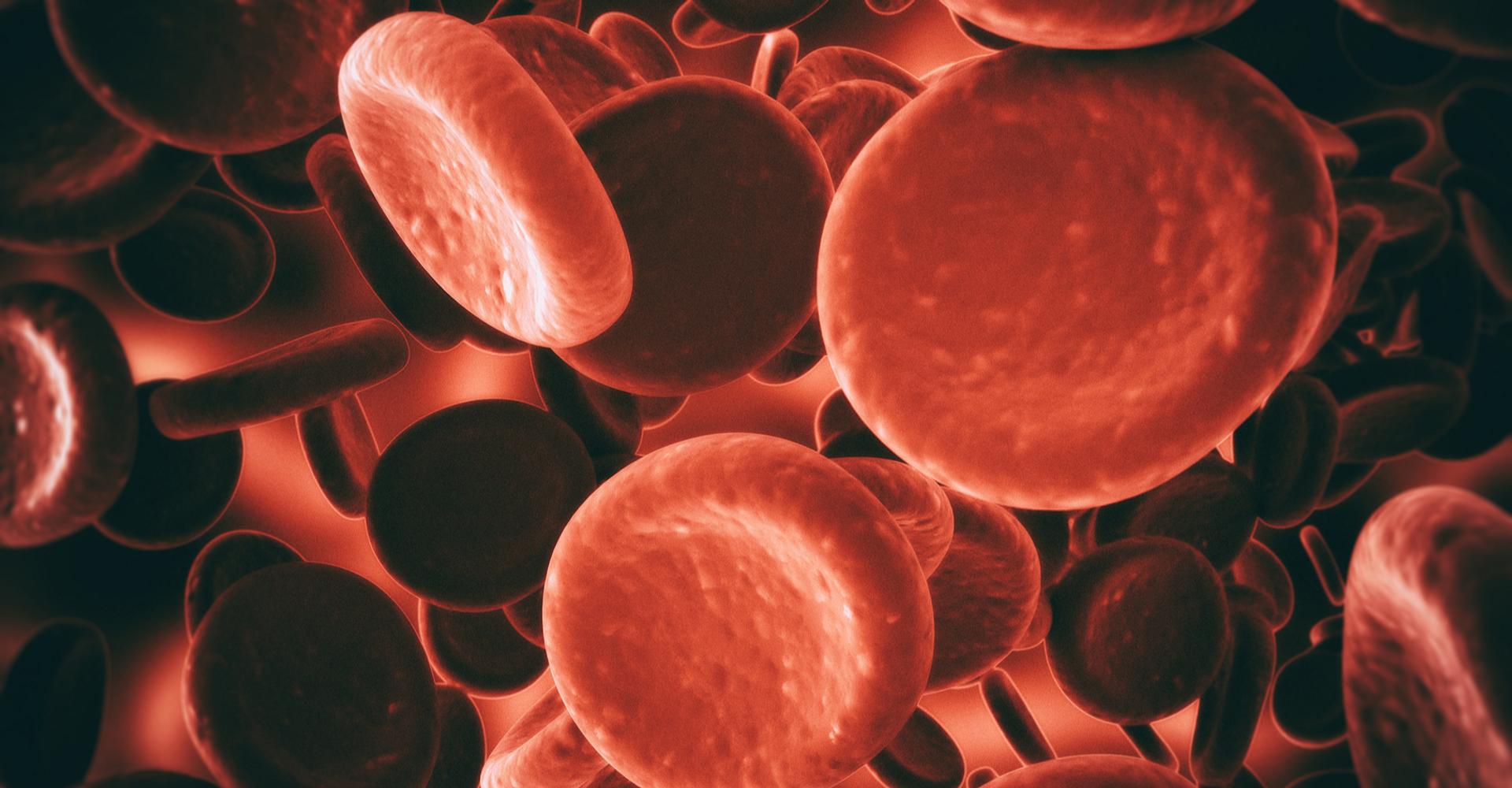 Quelles sont les différentes maladies du sang
