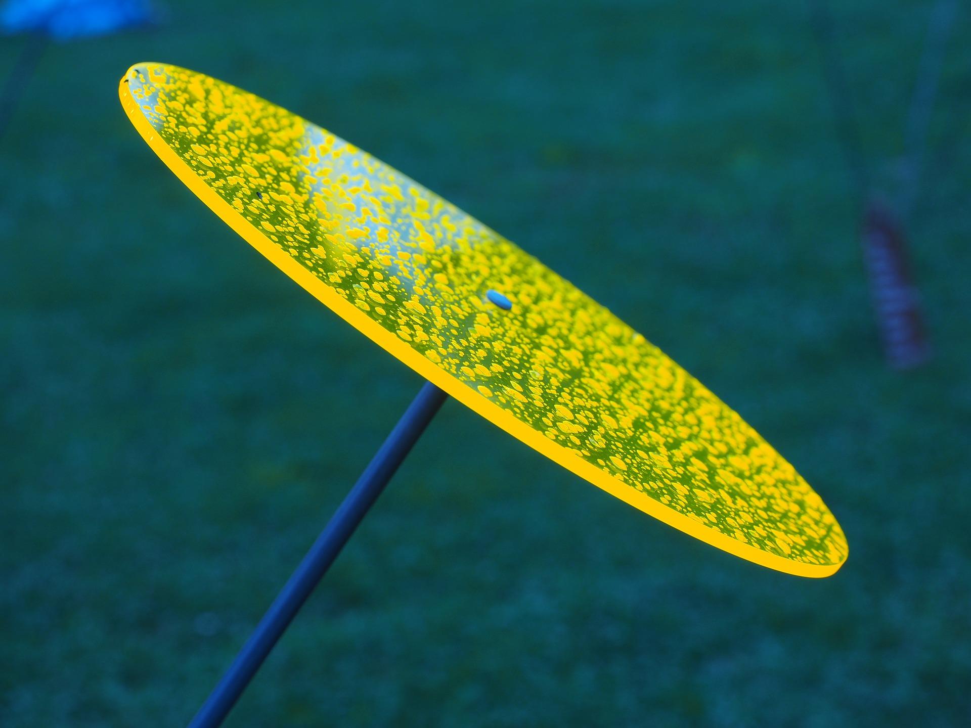 Définition | PMMA : qu'est-ce que c'est ? | Futura sciences