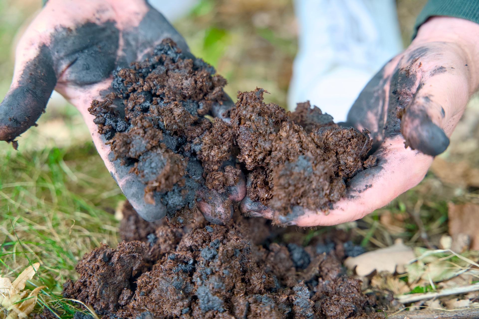 Le biochar, un charbon vert qui peut réécrire le futur du climat