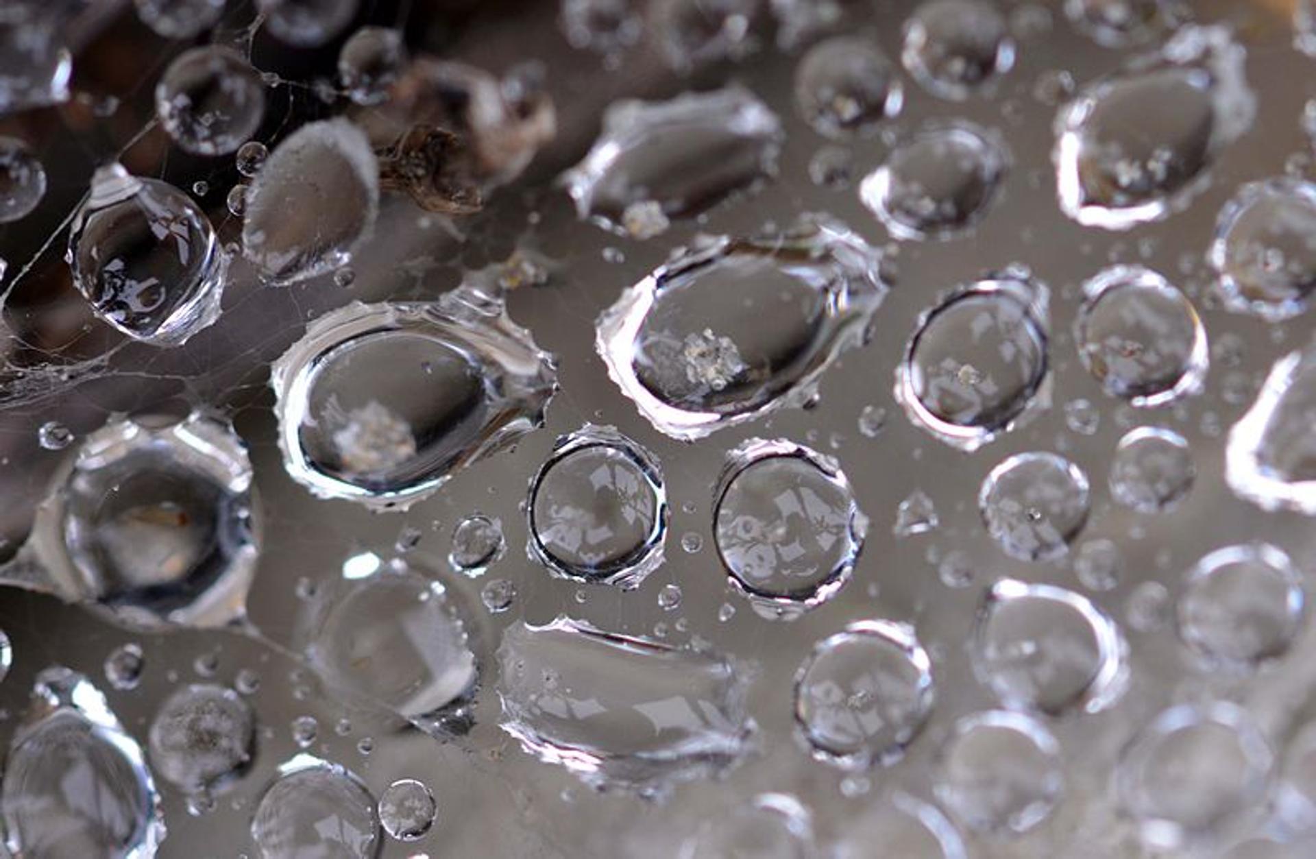 Définition | Bruine : qu'est-ce que c'est ? | Futura planète