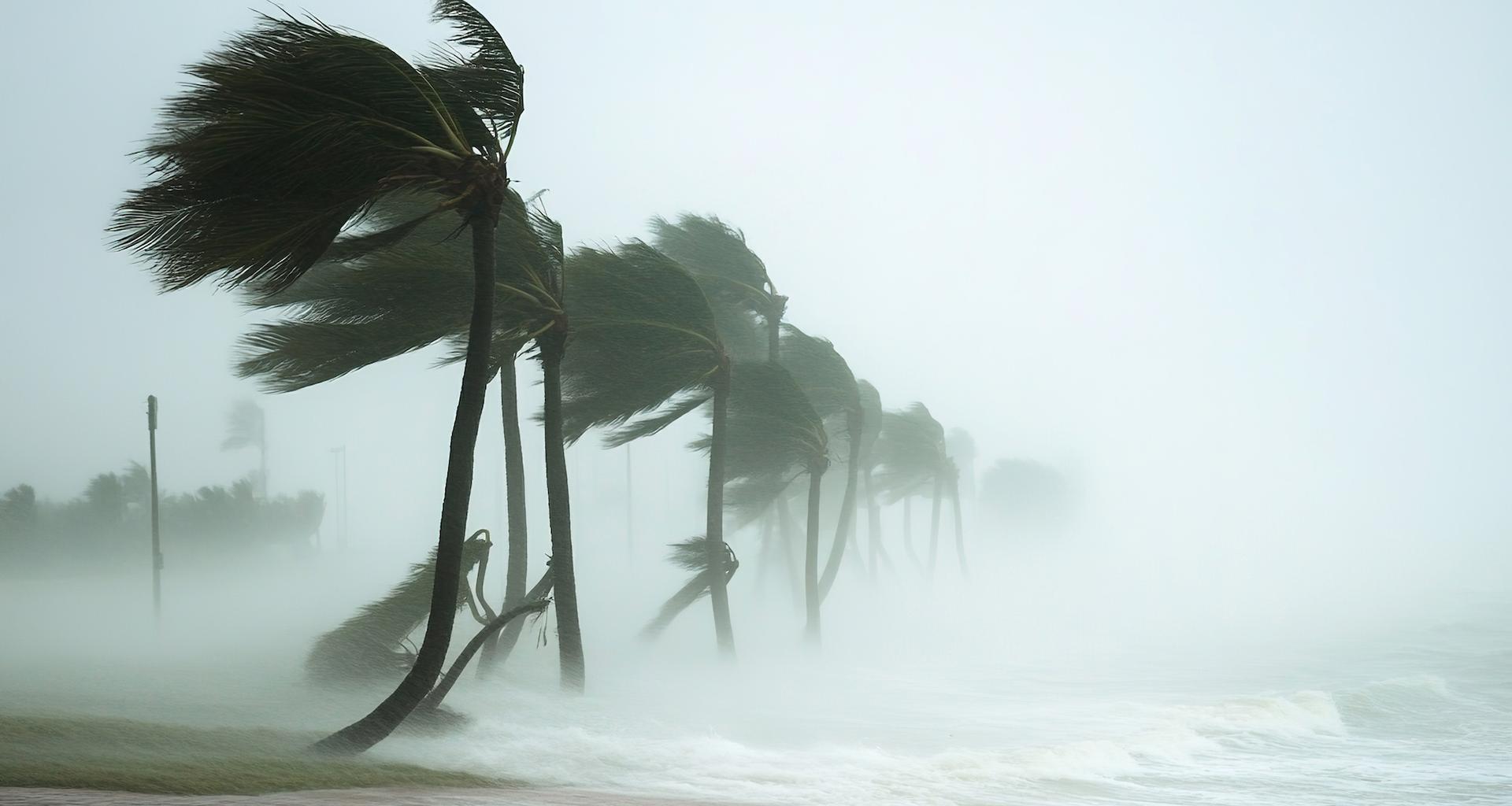 « C'est mort », nous ne limiterons pas le réchauffement à + 2 °C selon ...