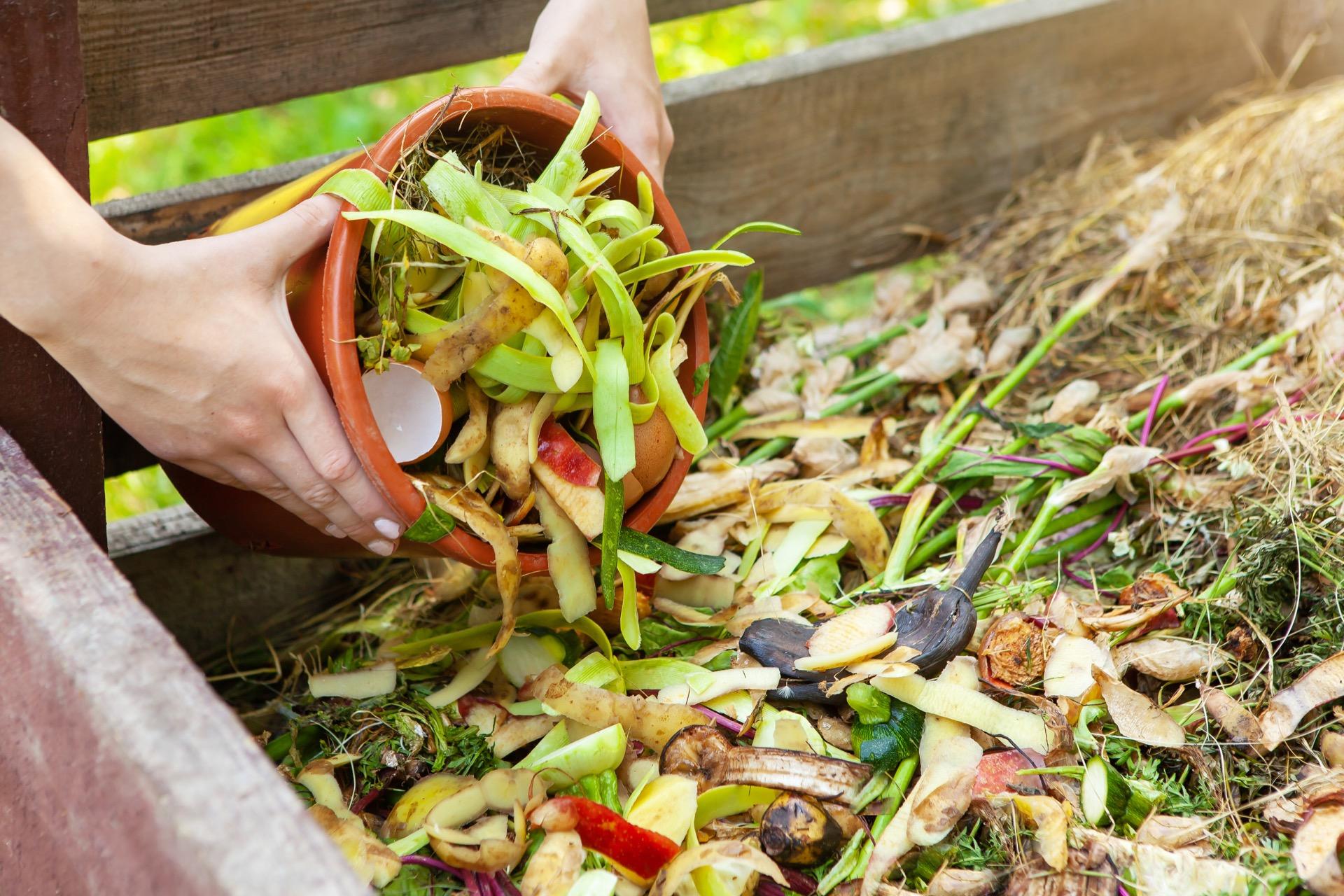 L’histoire méconnue du compost : de la chasse à l’engrais à la chasse ...