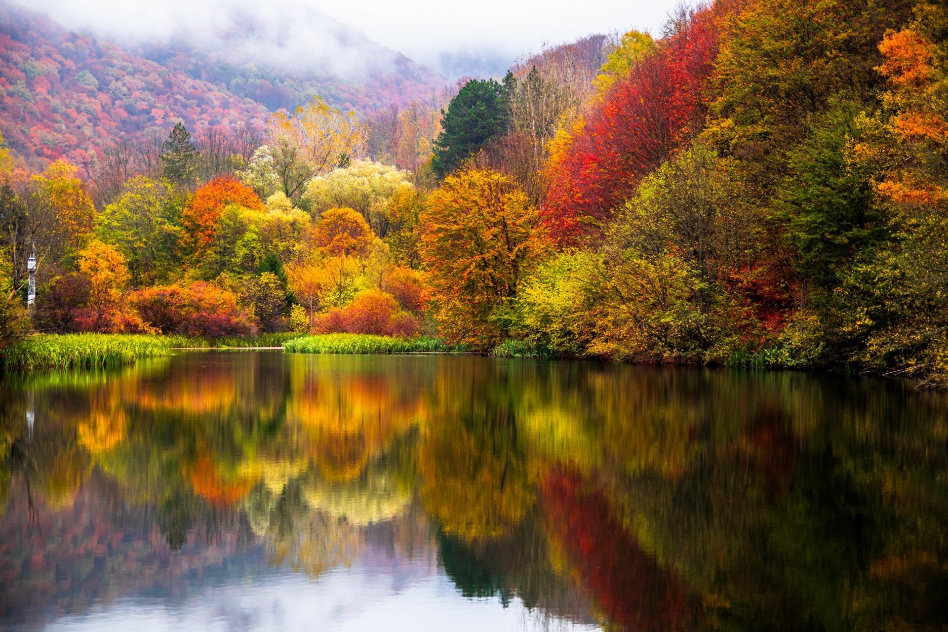 Définition | Automne : qu'est-ce que c'est ? | Futura planète