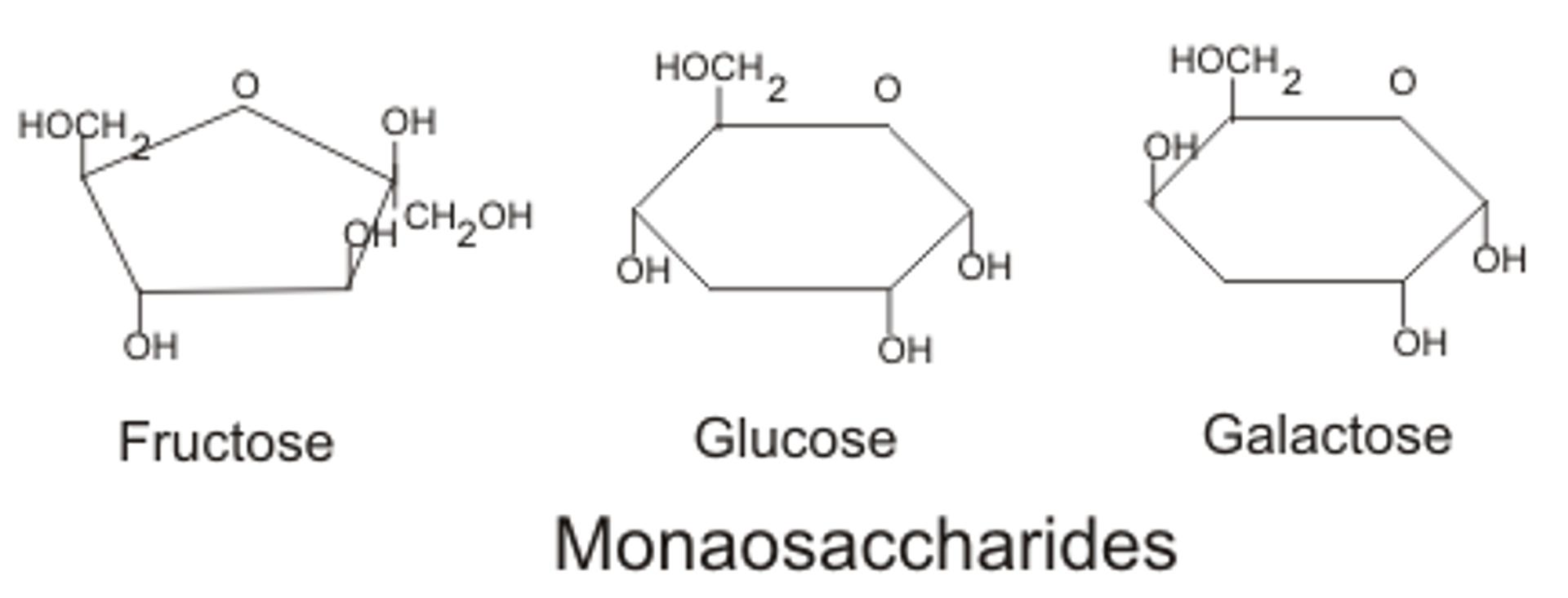 Définition | Monosaccharide : qu'est-ce que c'est ? | Futura santé