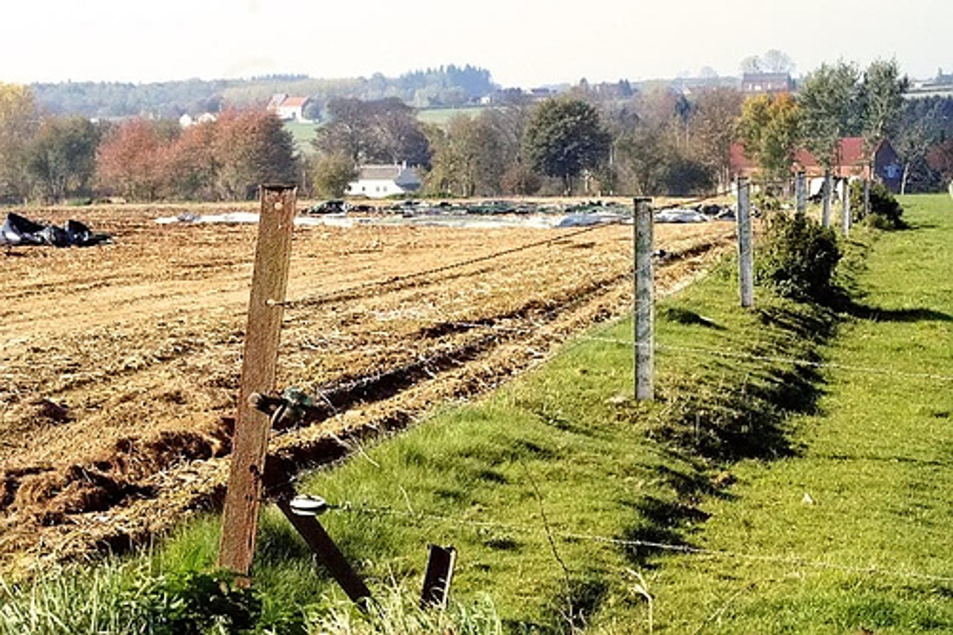 Définition | Terre arable : qu'est-ce que c'est ? | Futura planète
