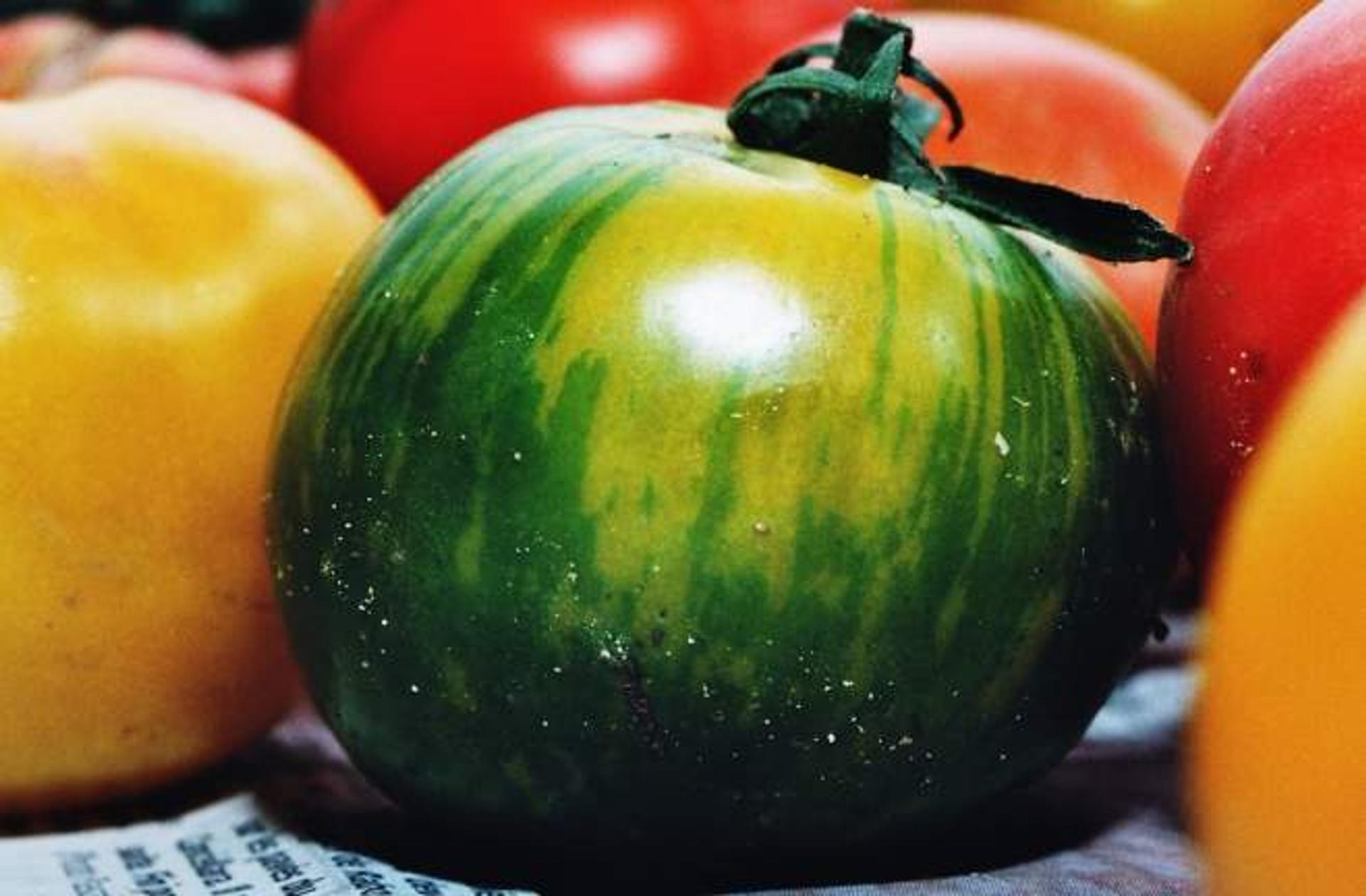 Définition | AMAP : qu'est-ce que c'est ? | Futura planète