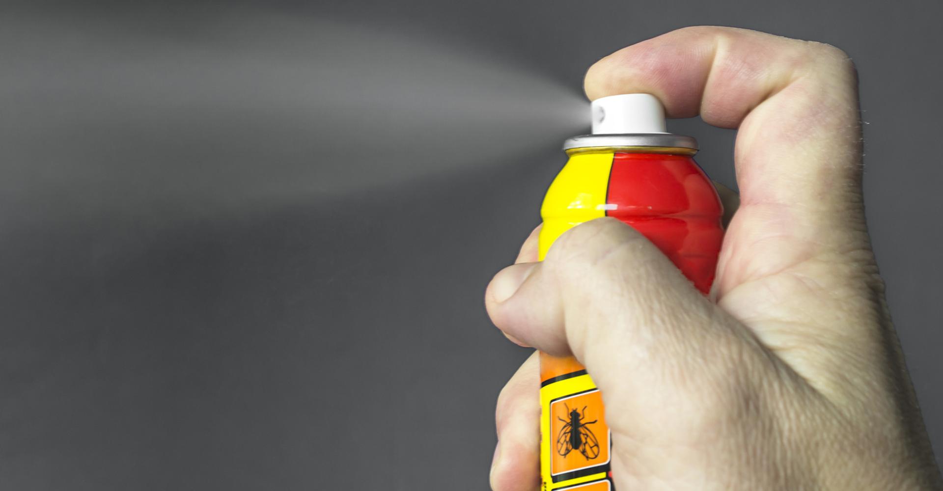 Définition | Insecticide : qu'est-ce que c'est ? | Futura planète