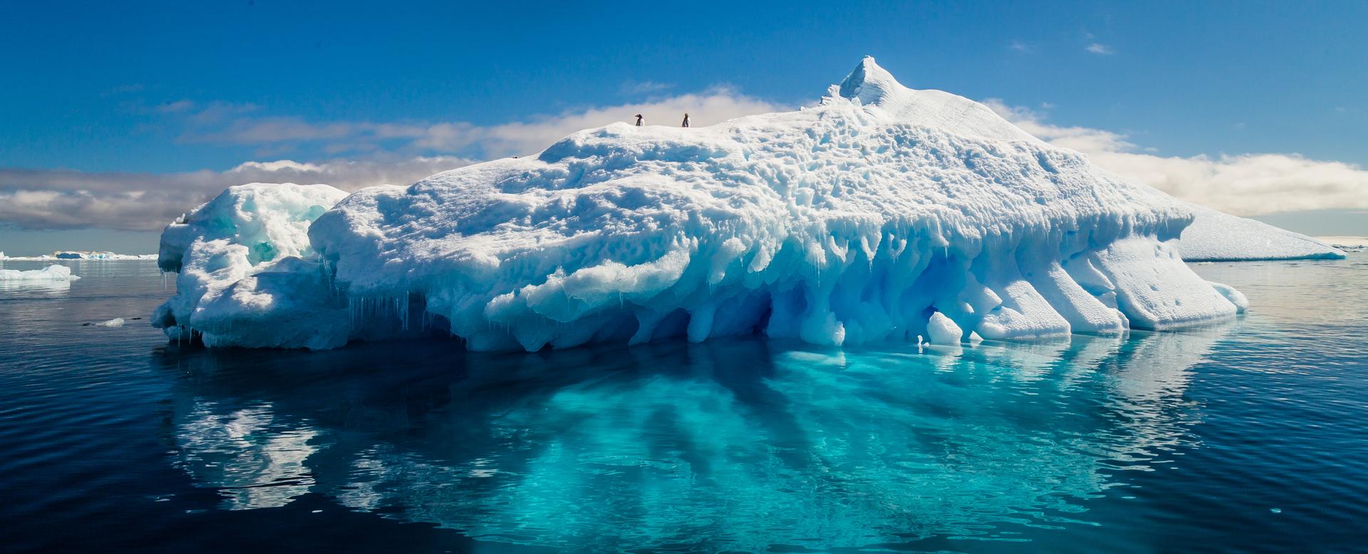 Le plus grand iceberg du monde est en train de disparaître… et ce que l ...