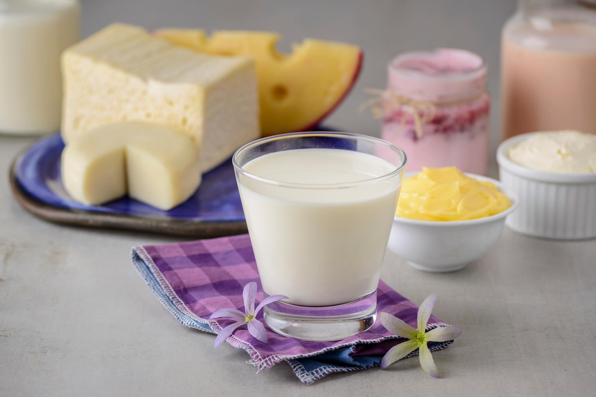 Quels sont les produits laitiers les plus consommés en France