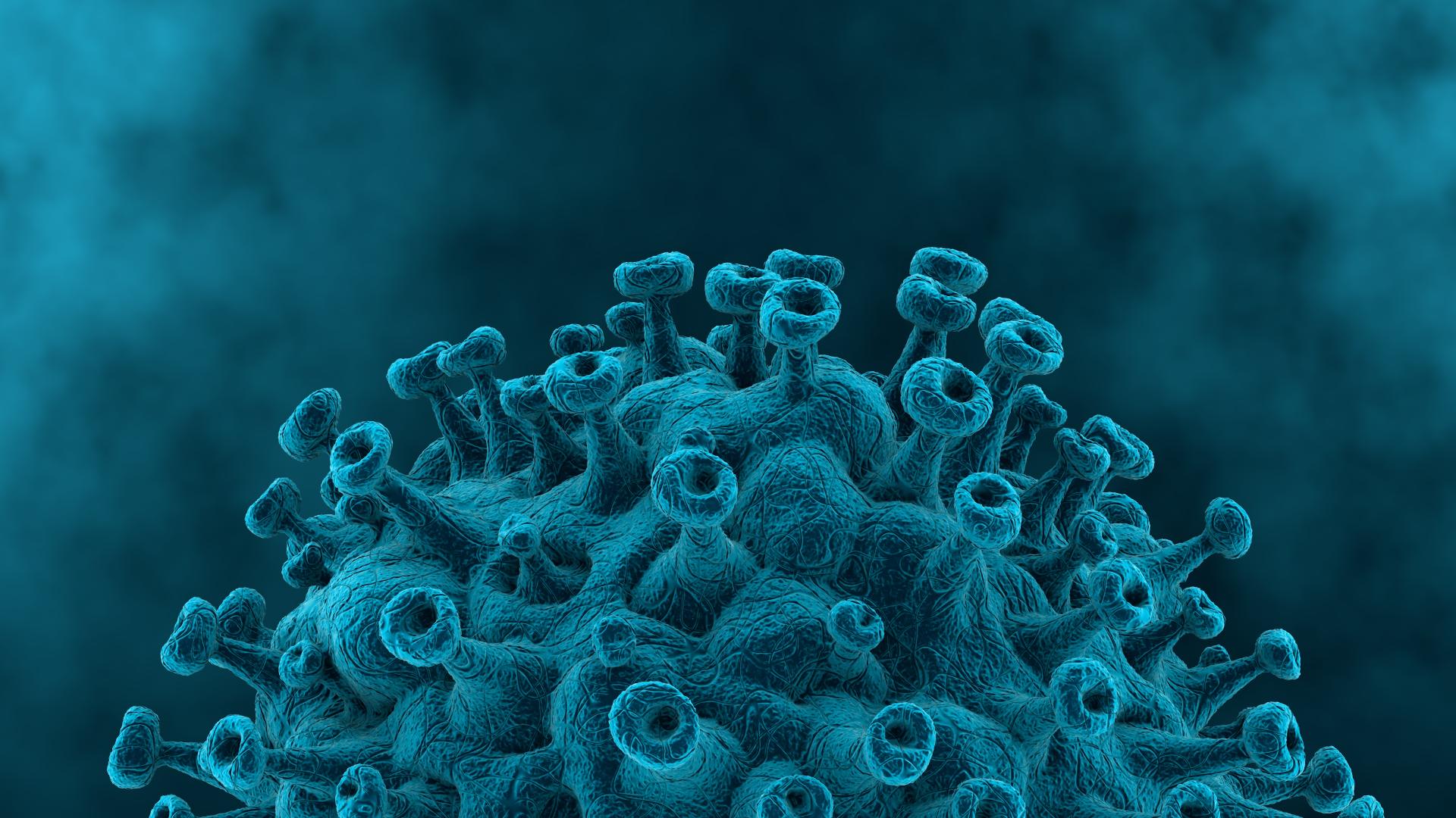 Covid-19 : une réinfection possible avec le variant Omicron