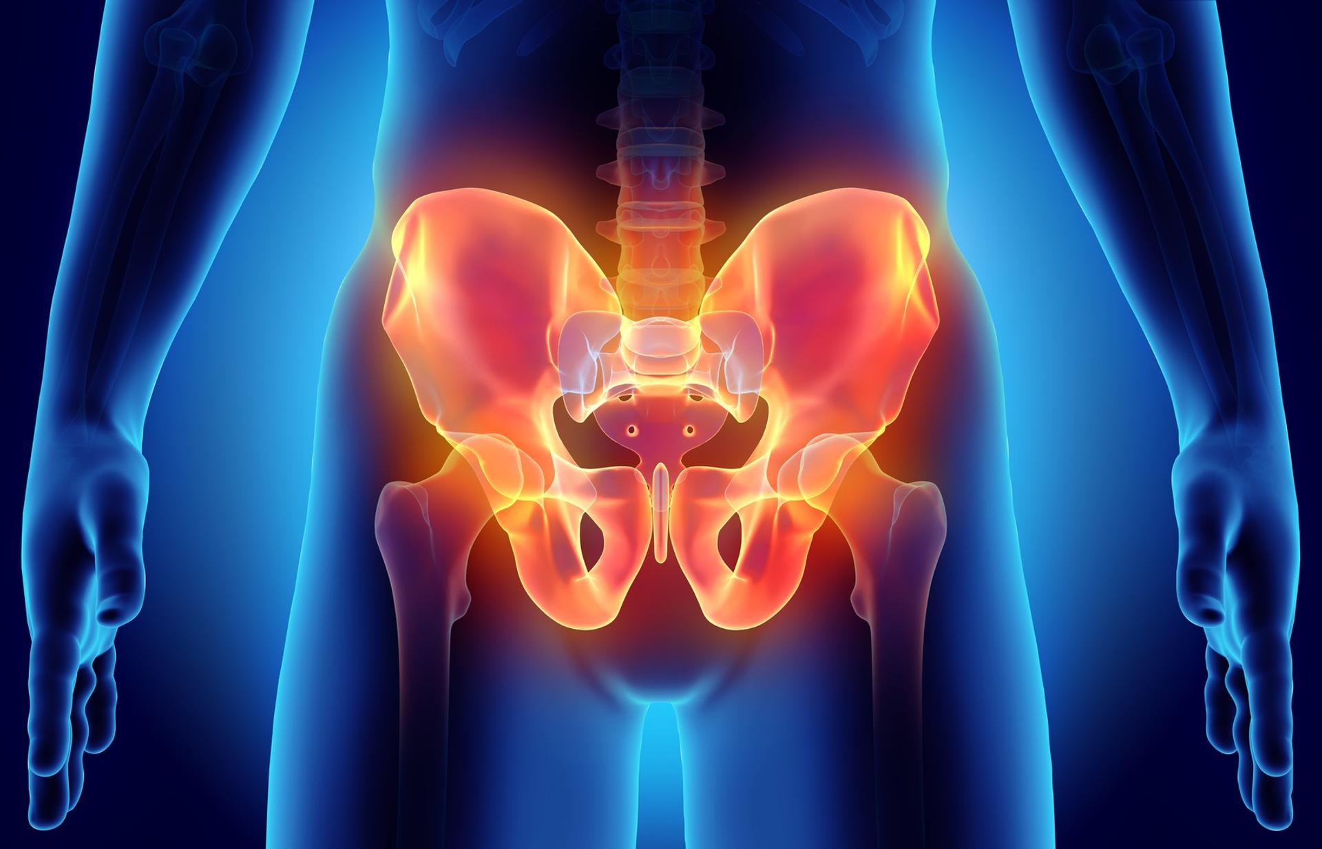 Définition | Bassin : qu'est-ce que c'est ? | Futura santé