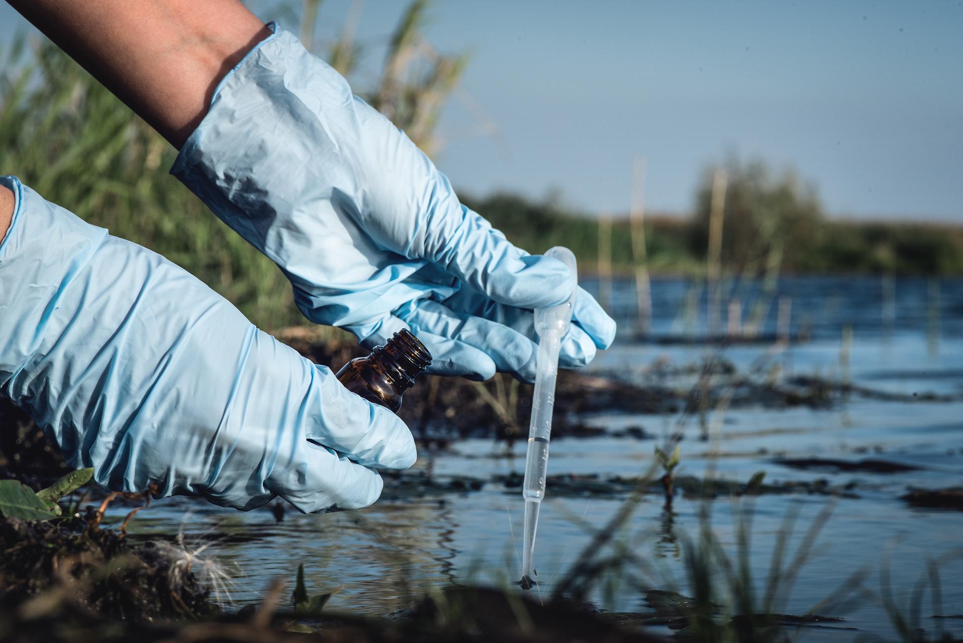 Surprise : même le papier toilette contamine les eaux usées avec des ...