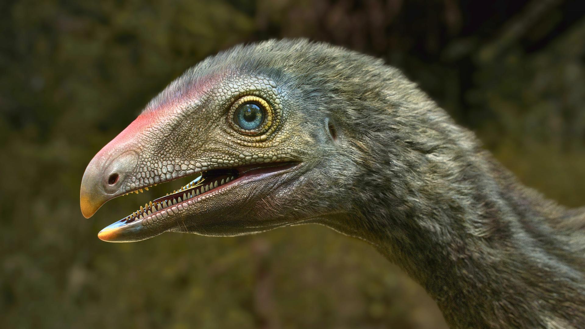 Ce parent des dinosaures et des ptérosaures avait un bec crochu et des ...