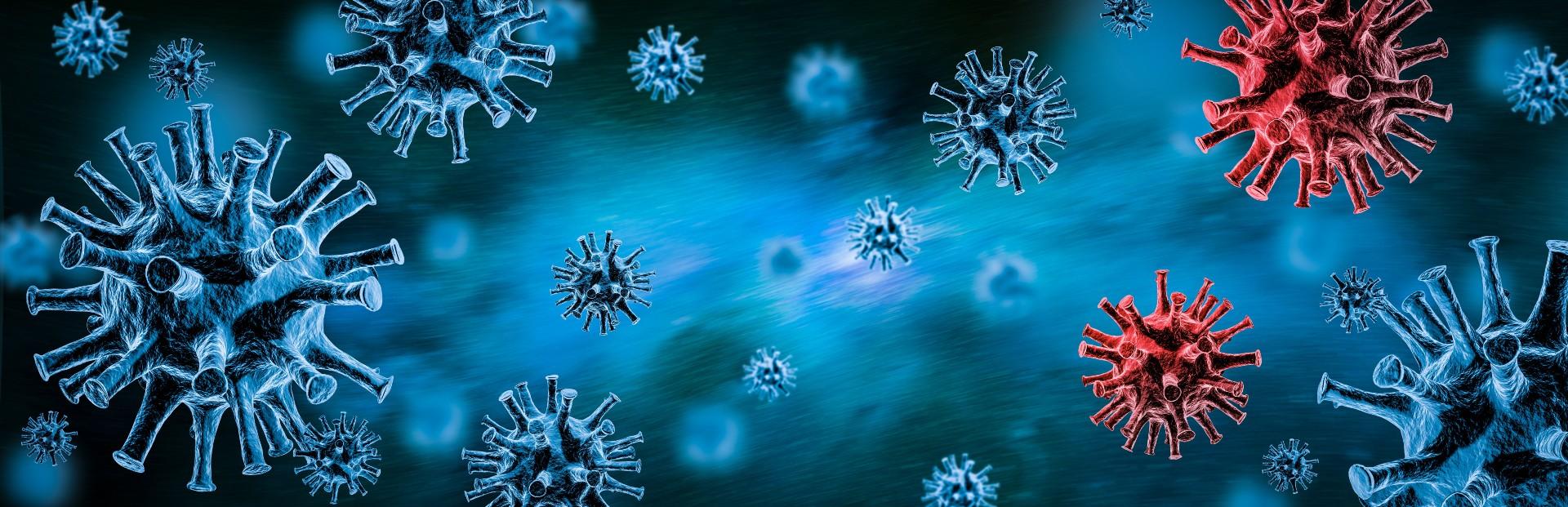 Un virus de singe « menace de se propager aux êtres humains