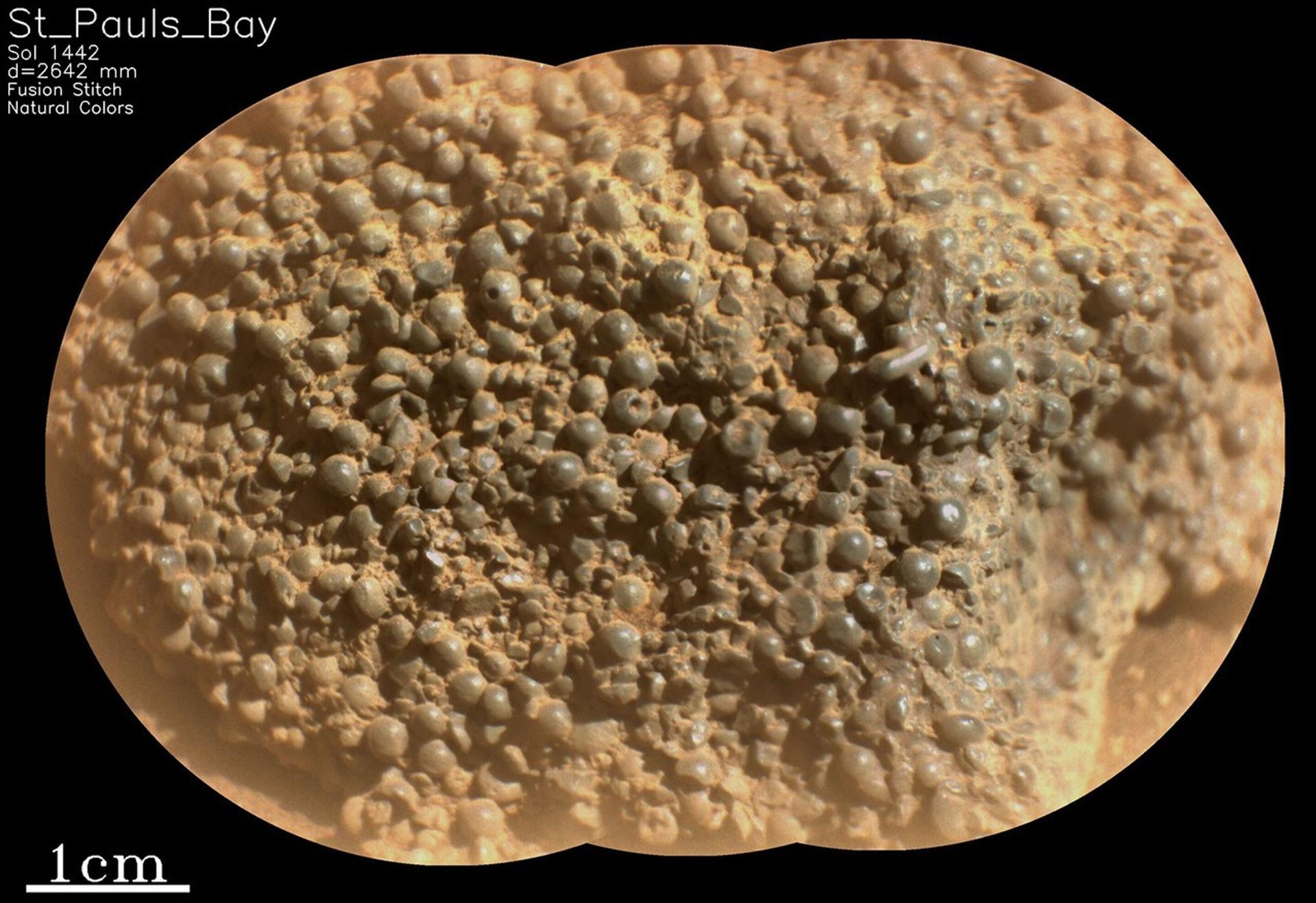 Mars : ces petites sphères noires découvertes sur une roche intriguent ...