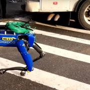 Cette main bionique délègue la finesse du geste à l’IA, et change la ...