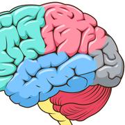 Définition | Neurite : qu'est-ce que c'est ? | Futura santé