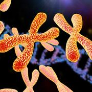 Définition | Apomorphie : qu'est-ce que c'est ? | Futura santé