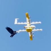 Comment les hélices toroïdales vont révolutionner l’aviation et la marine