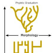 Définition | Macle : qu'est-ce que c'est ? | Futura planète