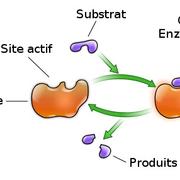 Définition | Hétéroatome : qu'est-ce que c'est ? | Futura sciences