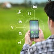 Acétamipride : tout comprendre sur cet insecticide néonicotinoïde