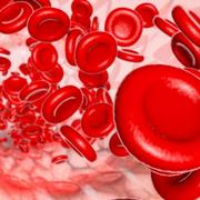 Un anticoagulant efficace qui n'augmente pas le risque d'hémorragie
