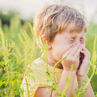 Quelles allergies provoquent des tâches rouges sur la peau