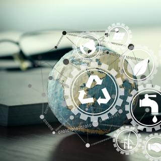 Définition | Allantoïde : qu'est-ce que c'est ? | Futura santé