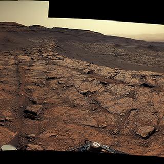 Définition | Corail : qu'est-ce que c'est ? | Futura planète