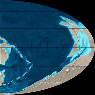 Paléontologie | Futura Planète