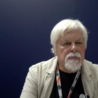 COP30 | Futura Planète