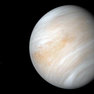 Définition | Photopériode : qu'est-ce que c'est ? | Futura santé