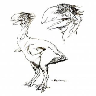 Définition | Élan : qu'est-ce que c'est ? | Futura planète