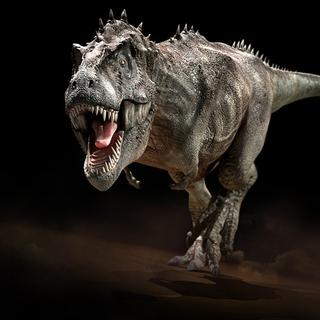 T-Rex | Futura Planète