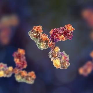 Comment se forment les crottes de nez