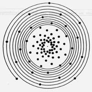 Définition | Radicelle : qu'est-ce que c'est ? | Futura planète