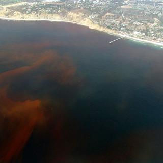 Définition | Marée : qu'est-ce que c'est ? | Futura tech