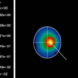 Anatomie des poissons : squelette, peau et muscles