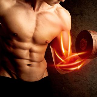 Anatomie des poissons : squelette, peau et muscles