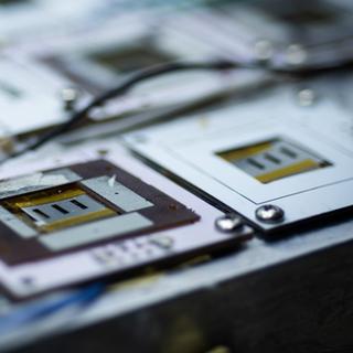 Définition | Placode : qu'est-ce que c'est ? | Futura santé