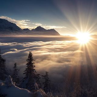 Définition | Glinides : qu'est-ce que c'est ? | Futura santé